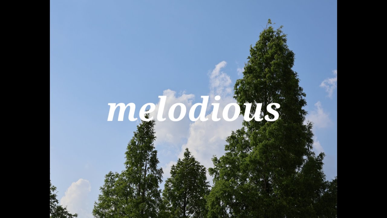 네가 알아? 내 마음이 얼마나 깊은지 알레프 노래모음 #힐링음악 #감성 #잔잔한노래모음 #사랑 #편안한음악 #melodious - YouTube