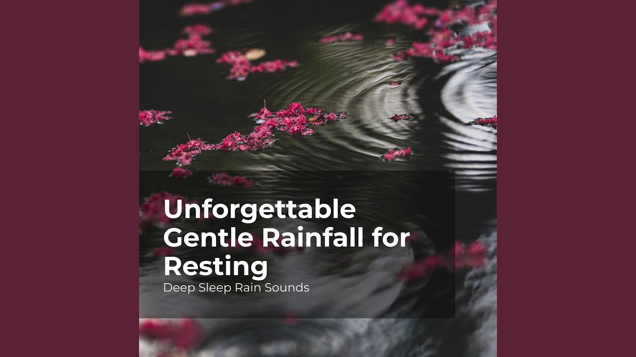 Soothing Pelting Rain - YouTube