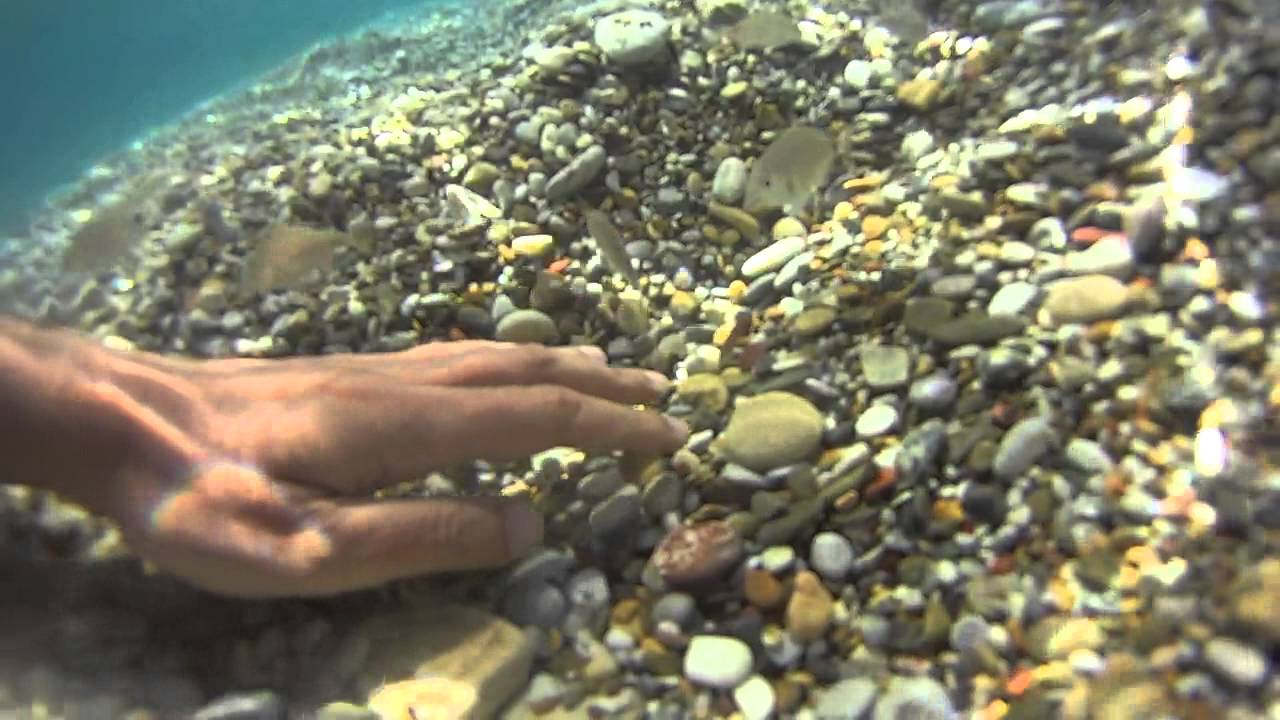 Calling the fish - YouTube