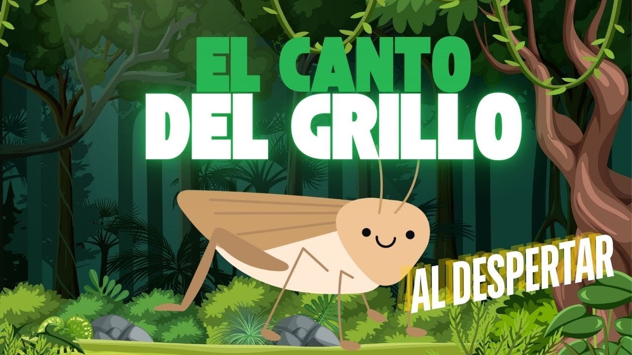 El Canto Del Grillo Al Despertar - YouTube