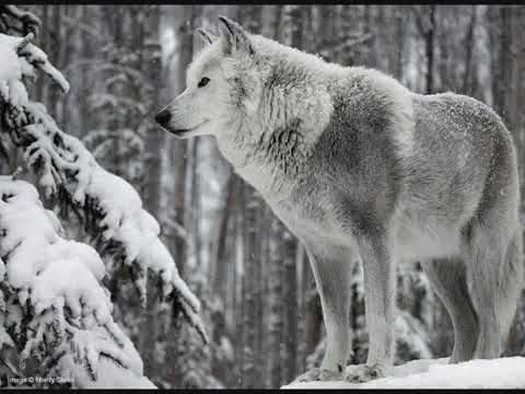 Salam Sabahiniz xeyir olsun deyerli dosdar ✋❤️🌹