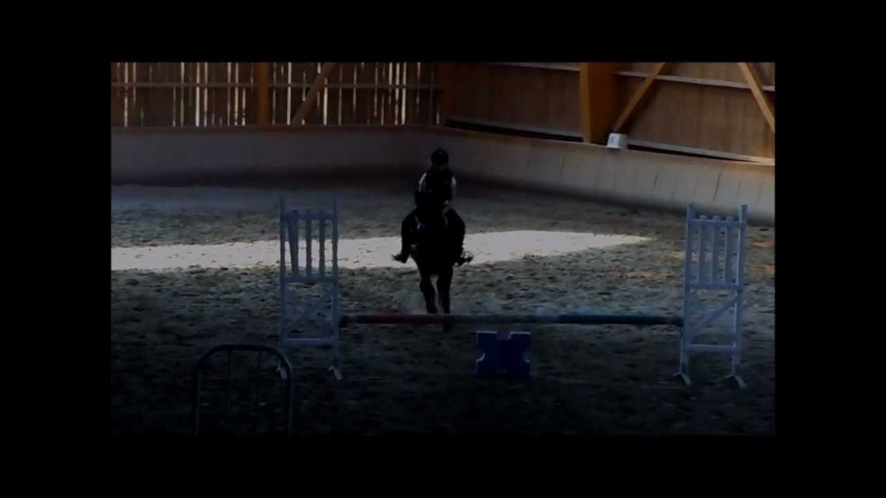 Alexandra & Unique. Cours d'Obstacle le 14 Avril 2012. - YouTube