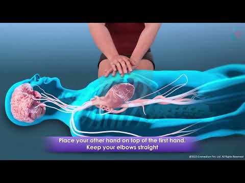 How to Perform CPR: Hands-Only and Mouth-to-Mouth | 3D Guide