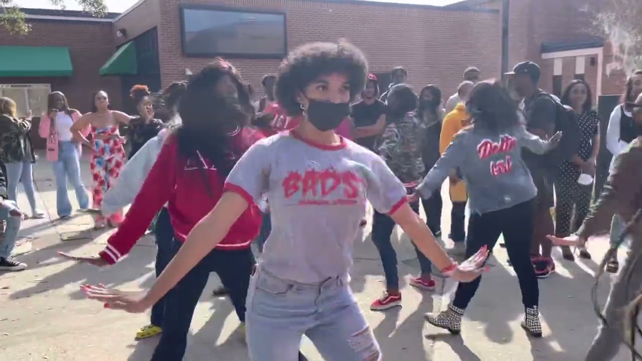 Delta Sigma Theta Sorority, Inc. | Beta Alpha Chapter | FAMU - YouTube