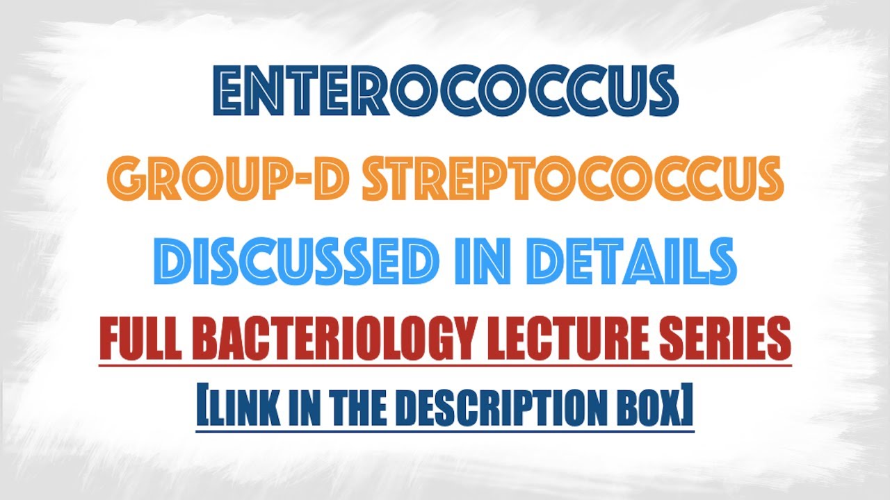 Group D streptococcus : Enterococcus : Virulence factors,Clinical ...