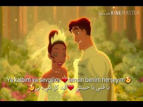 ترجمة اغاني تركي \\اغنية ya kalbim ya sevgilim