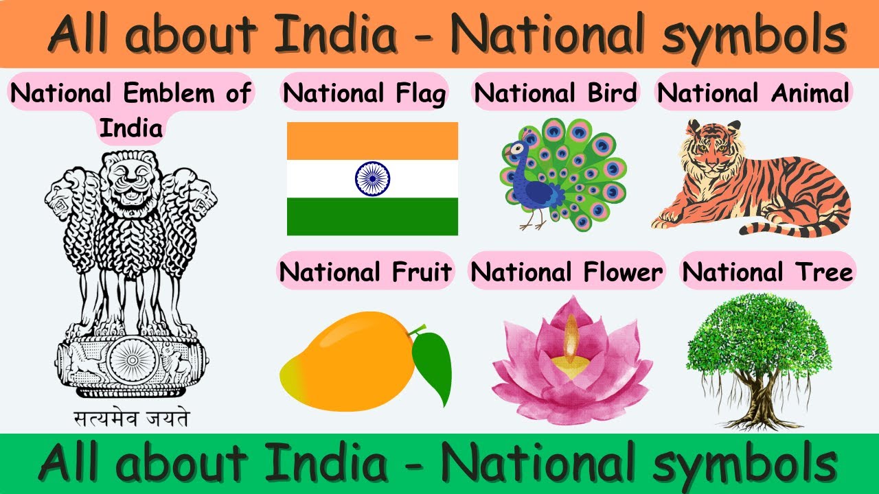 All about India - National symbols | National Symbols of India for kids ...