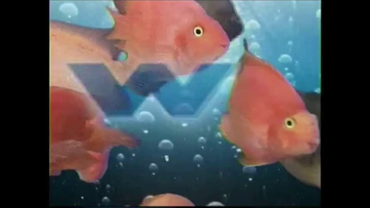 Wet Pets commercial but every other word is missing - YouTube