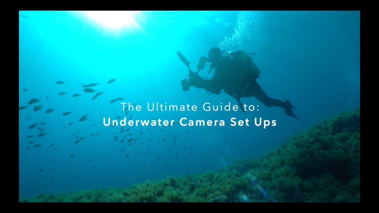 Ultimate Guide to Underwater Camera Setups - YouTube