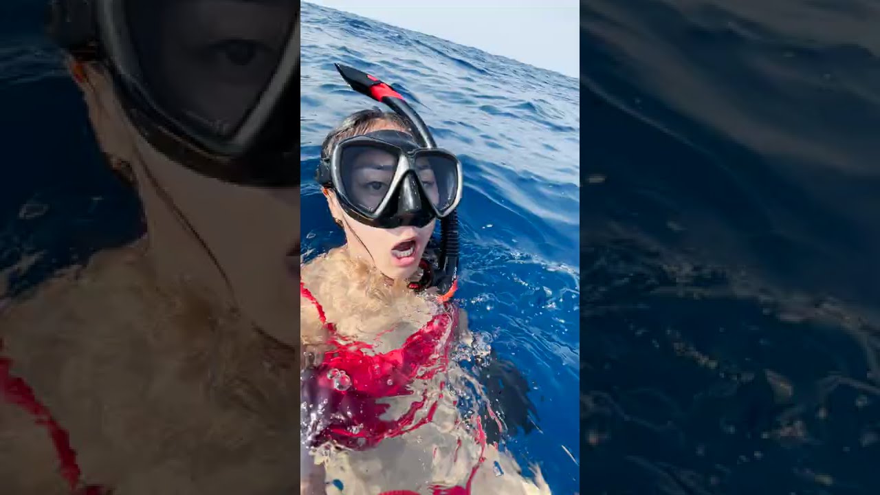 Lizzy Capri Swims with SHARKS #Short - YouTube