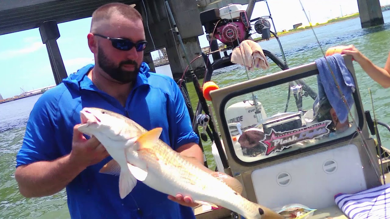 Catching Fish At Pelican Island - YouTube