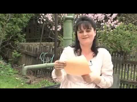 Cheesecake výslovnost