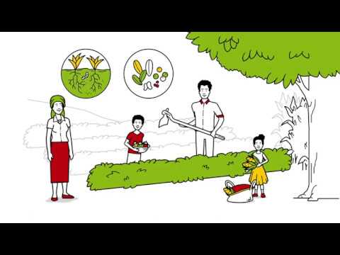 How landscape approaches can contribute to find solutions for a ...