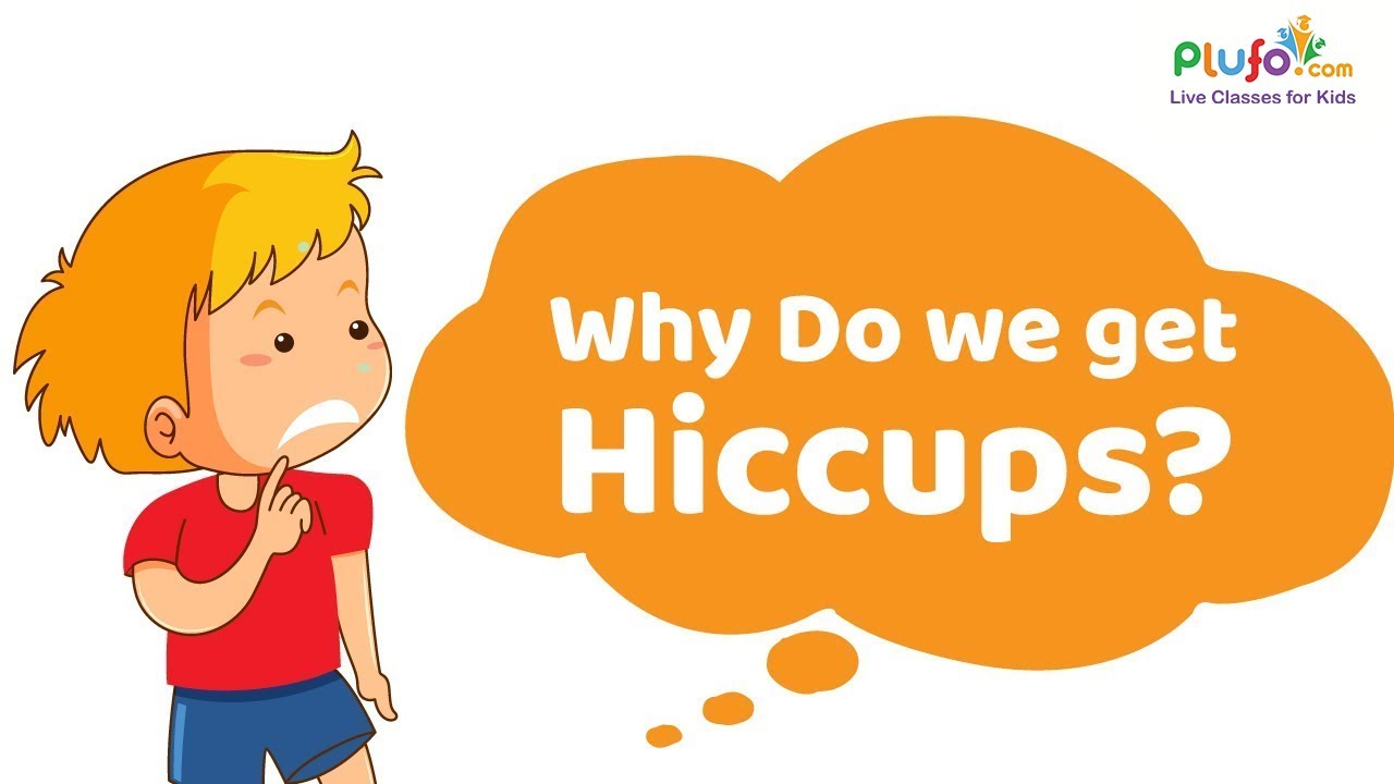 What Are Hiccups | Why Do We Get Hiccups | Educational Videos | Always ...