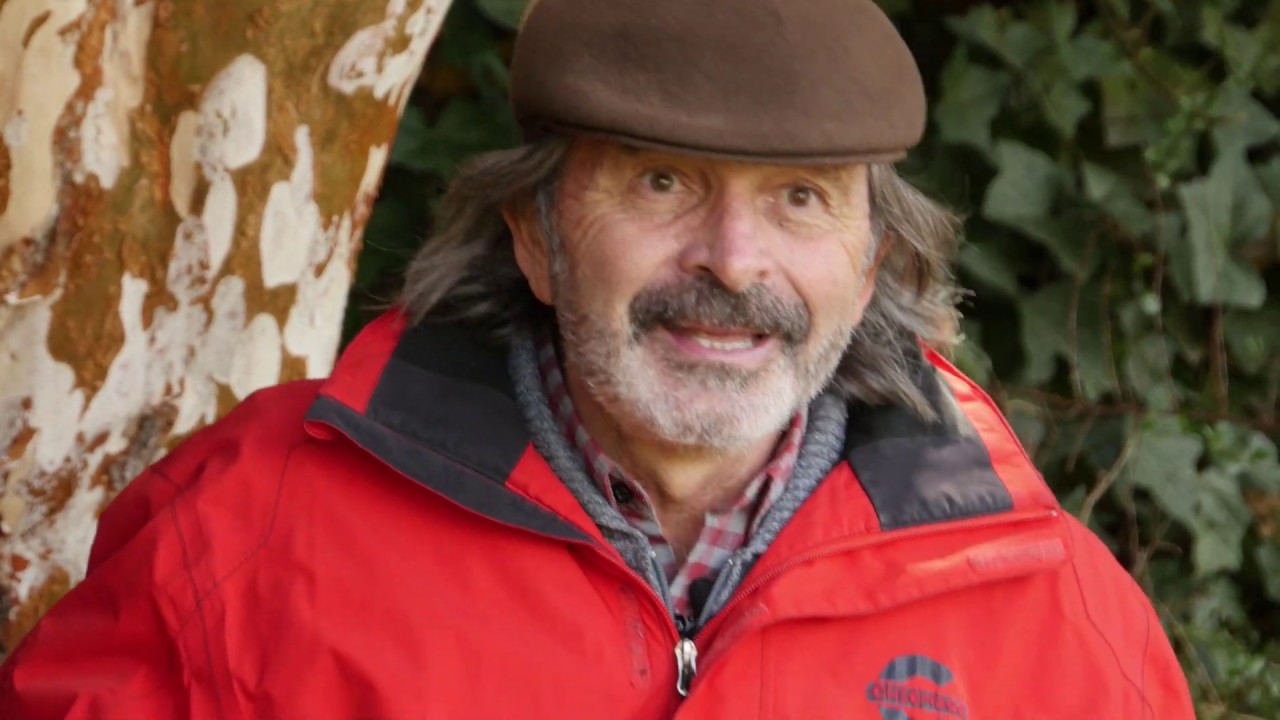 y entonces... cómo es? Sergio Rullo. UNO - YouTube