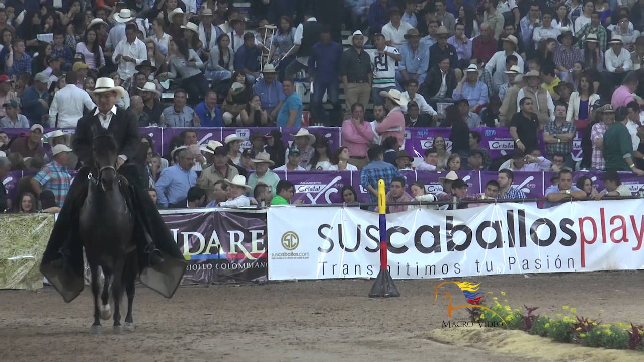 YEGUAS FINAS DE 60 78 MESES, NACIONAL 2016 PERFIL - YouTube