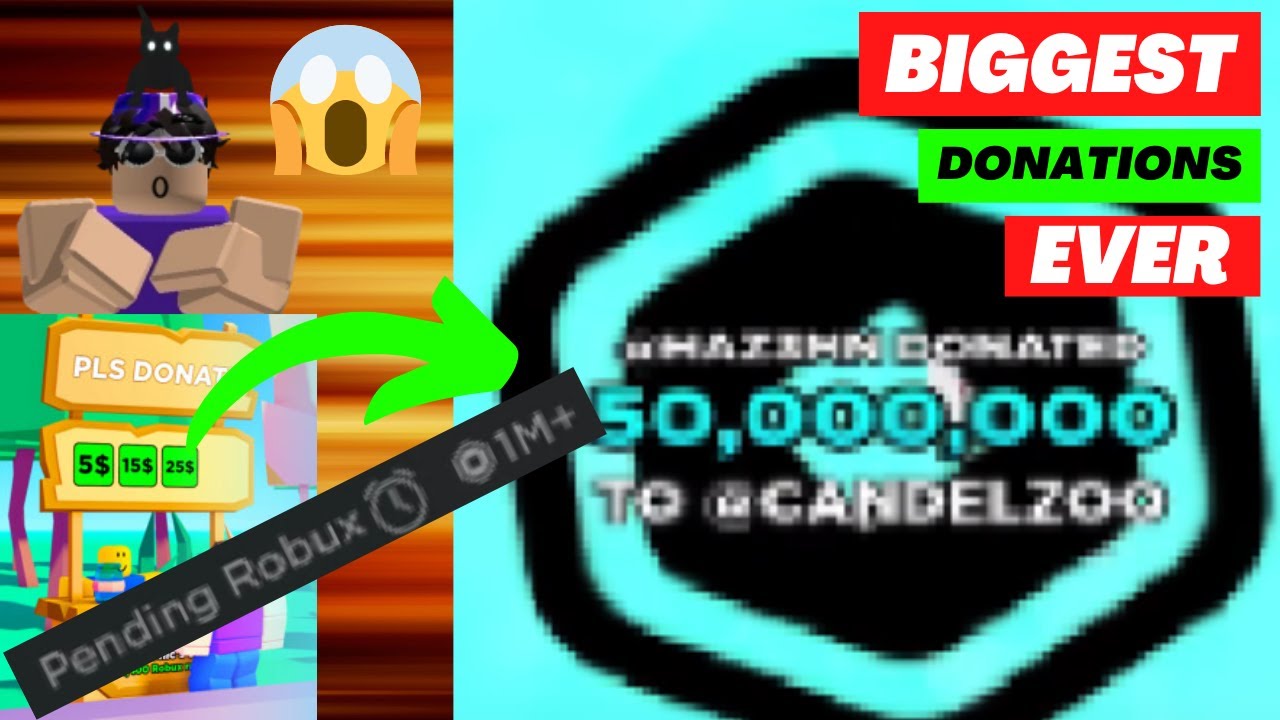 Top 10 Biggest Donations in Pls Donate History - YouTube