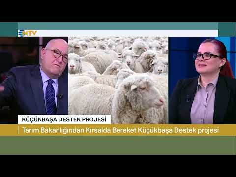 Bakış 15 Nisan 2026 -TARSİM- Elif Yüce