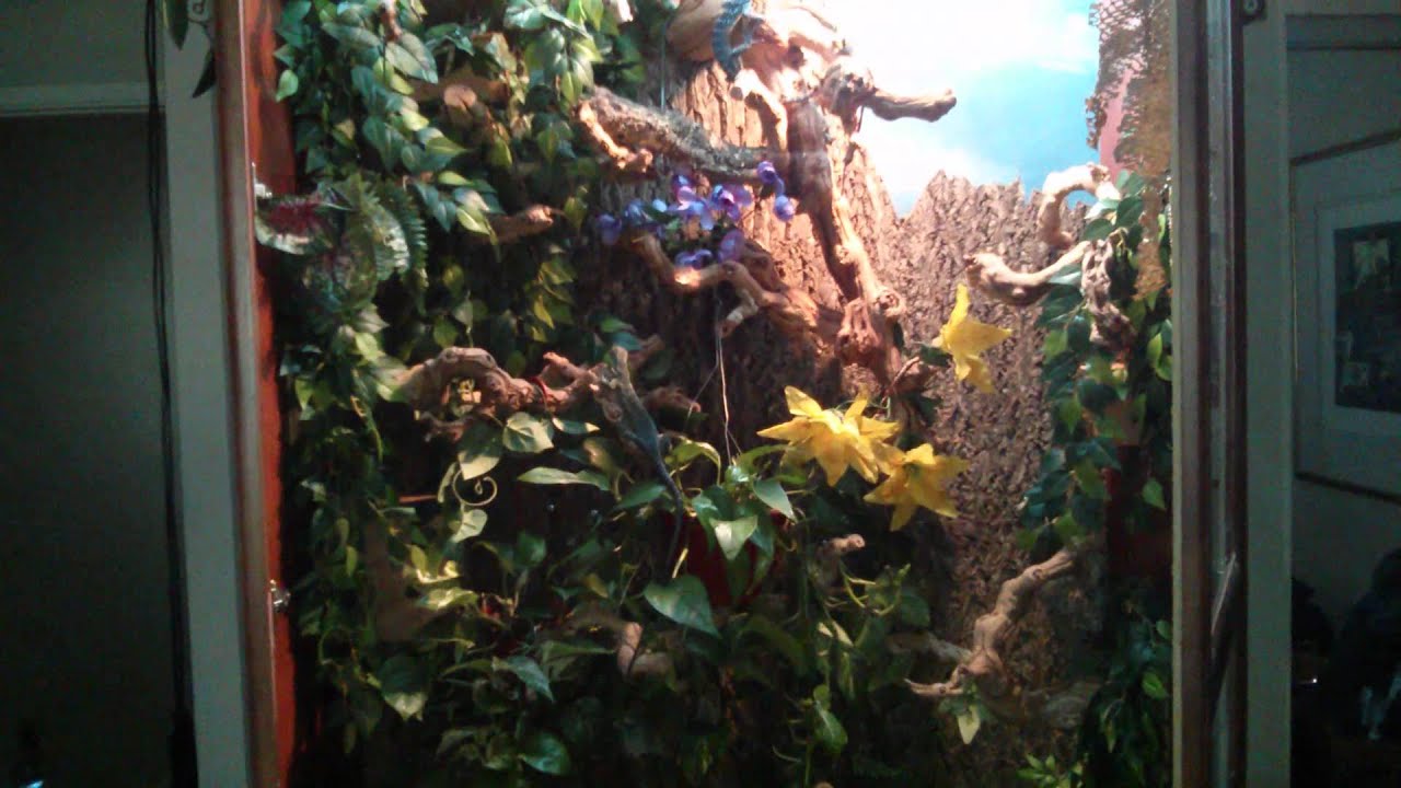 My tree monitor set up. - YouTube