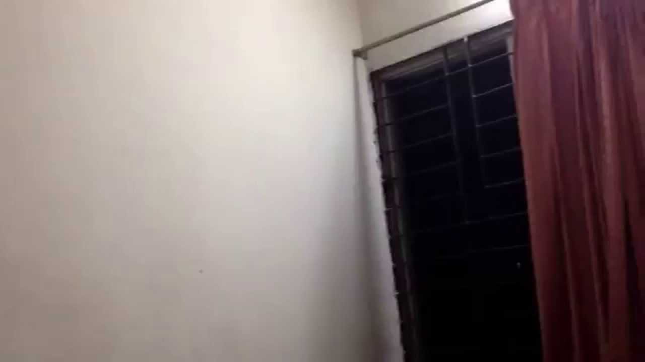 Chatok pakhi at my office room. 19.07.2014 - YouTube