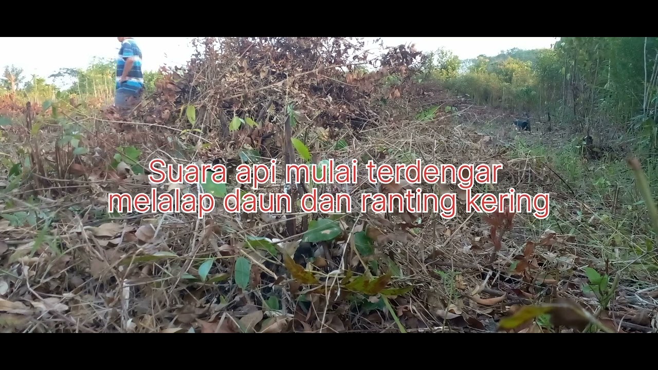 JANGAN BERMAIN API - YouTube