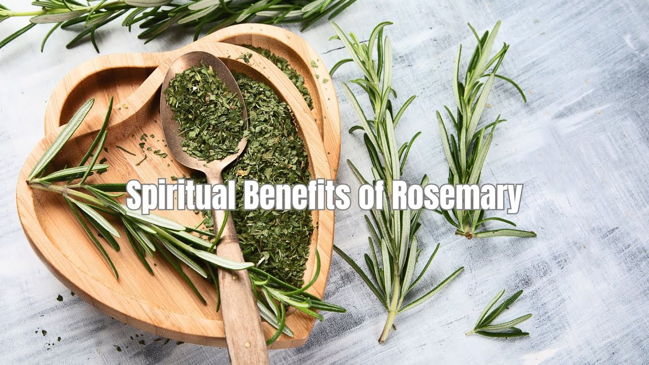 20 Spiritual Benefits of Rosemary | Magical & Medicinal Properties ...