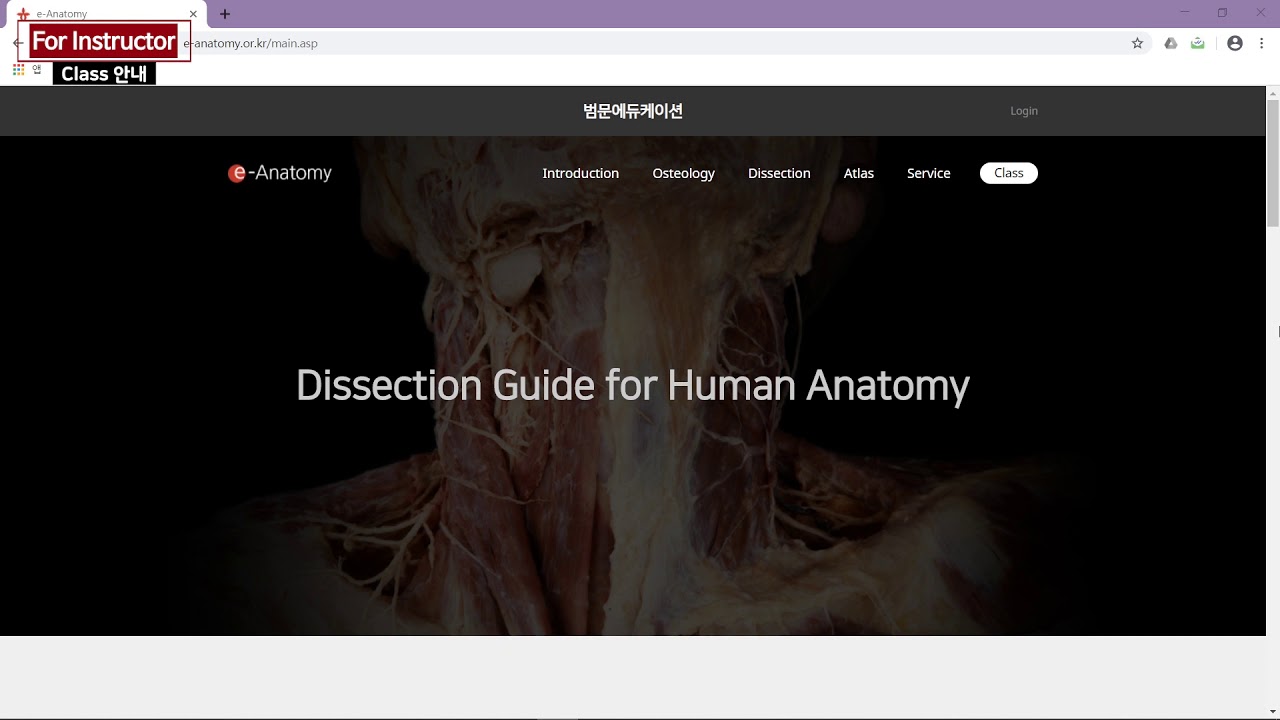 e-Anatomy 이용 교육 영상 - YouTube