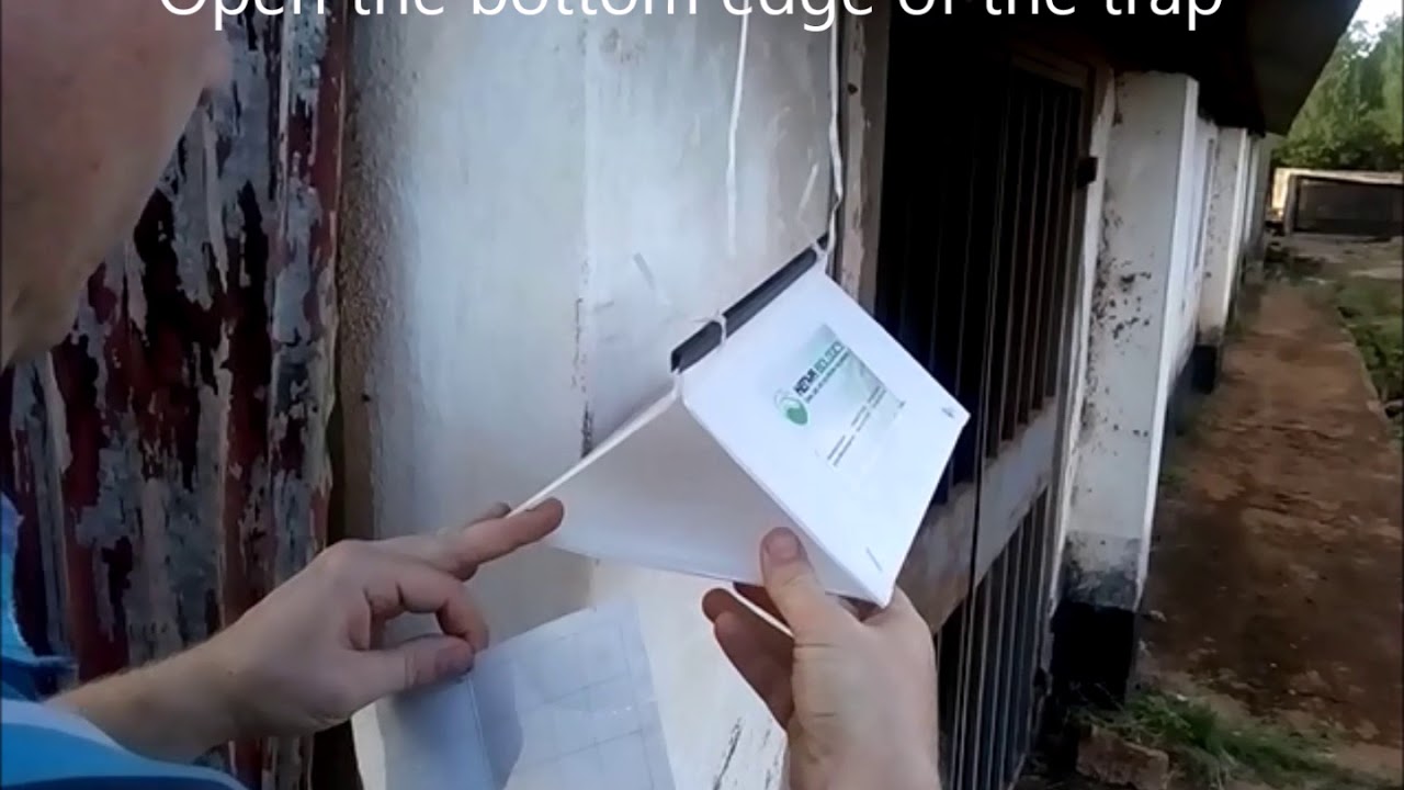 Delta trap installation of lures and paper - YouTube