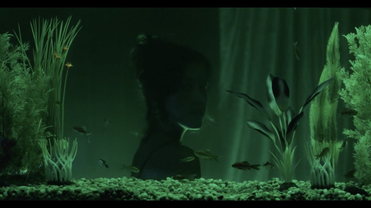 Natalie Duffy - Emerald Green August (Official Music Video) - YouTube