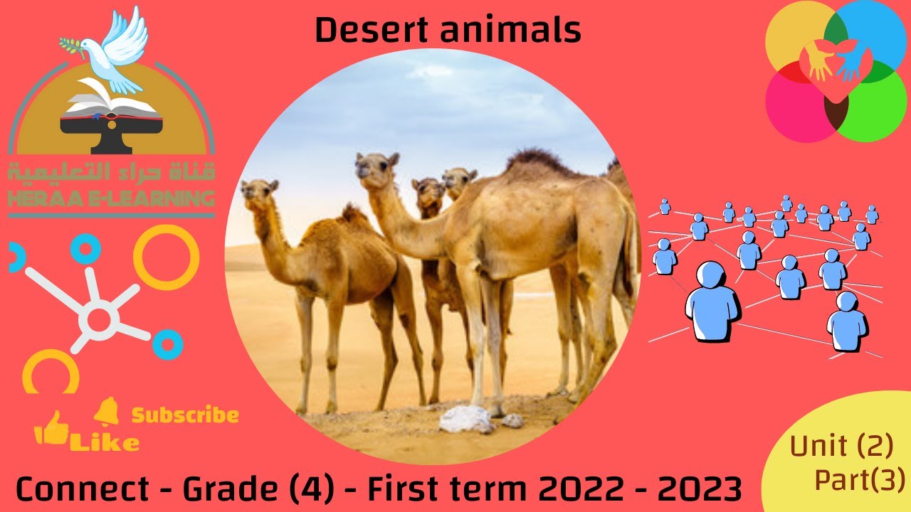 Connect | unit 2 | part 3 | Grade 4 - YouTube