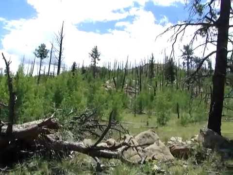 Weather Share - Hayman Fire Start Area - Tarryall Mountains Colorado 7 ...