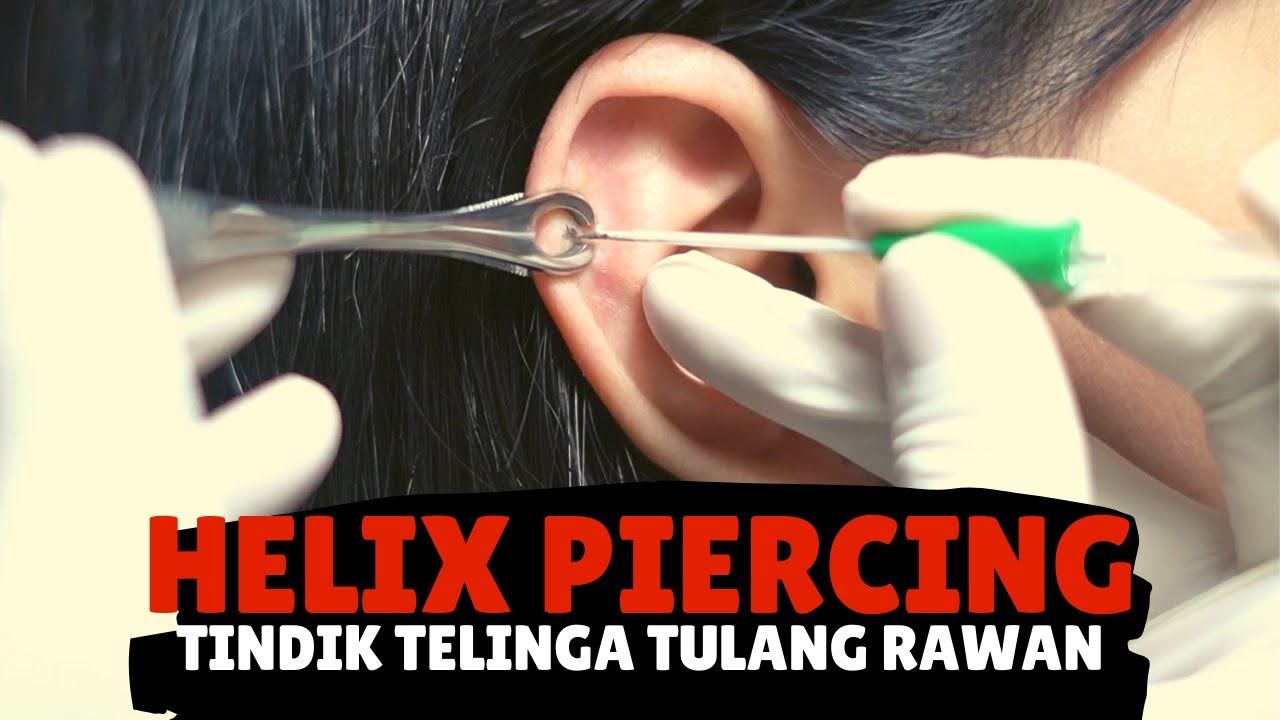 Helix Piercing Cartilage - Tindik Telinga Tulang Rawan - Cara Tindik ...