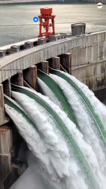 How fish ladders work 🐟 #shorts #ytshorts | Factz_master - YouTube