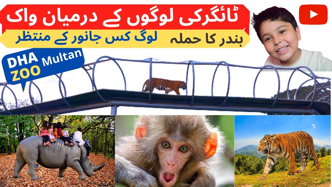 360 Zoo Dha Multan l Tour | Monkey Attack in Zoo | Tiger walk among the ...