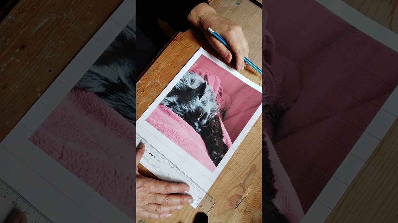 Zeichnen mit der Rastertechnik - YouTube