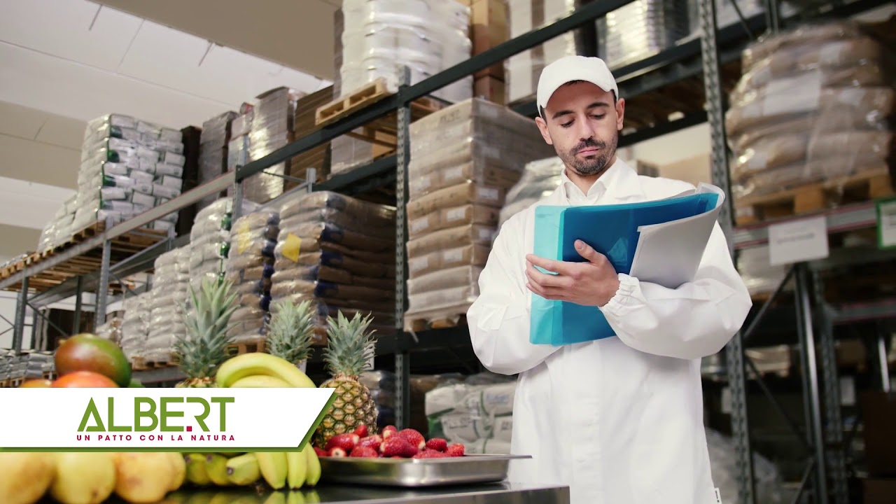 ALBERT corporate ENG - YouTube