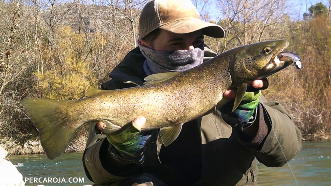 Pesca de 3 truchas comunes a spinning con Black Minnow - YouTube