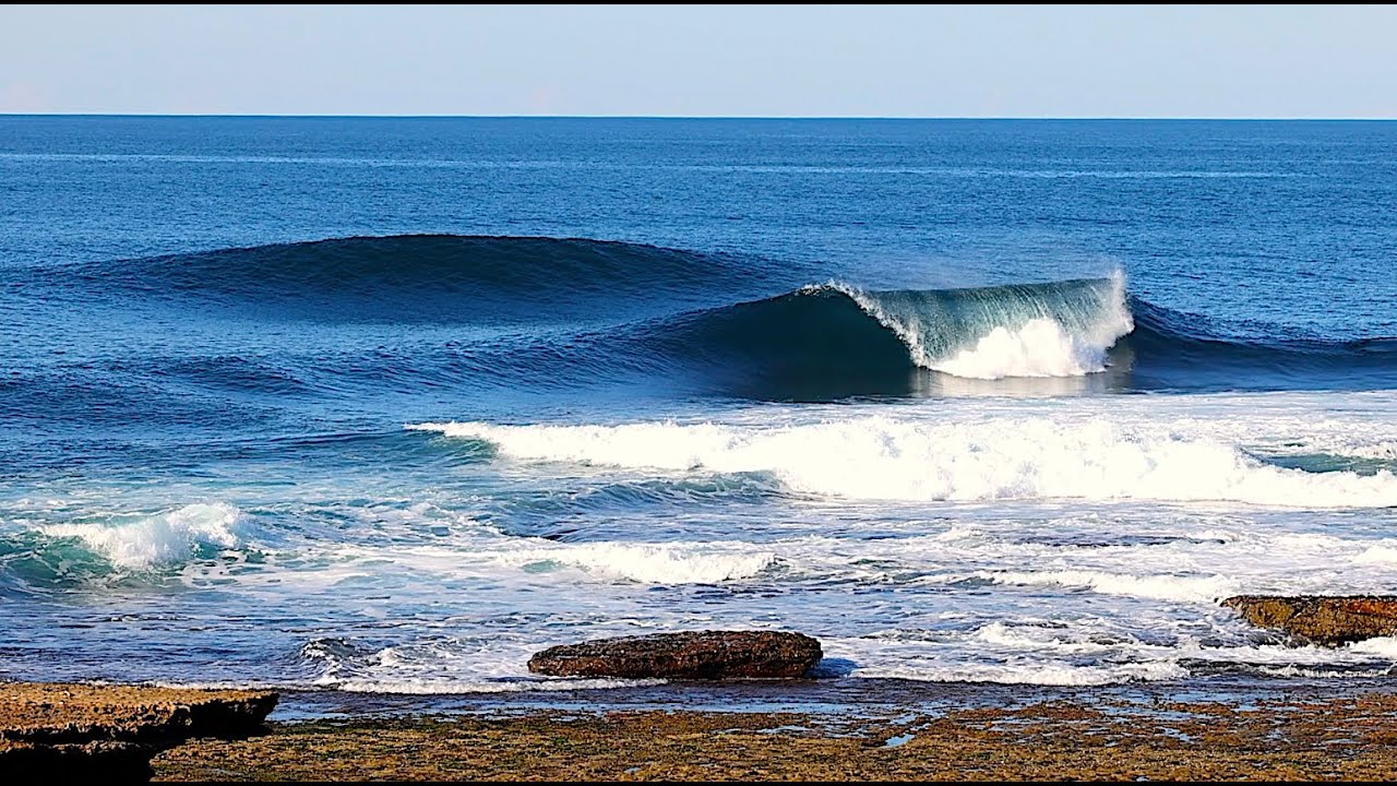 『Australia Daily Clip』2023.5.16 @ AUSTRALIA - YouTube