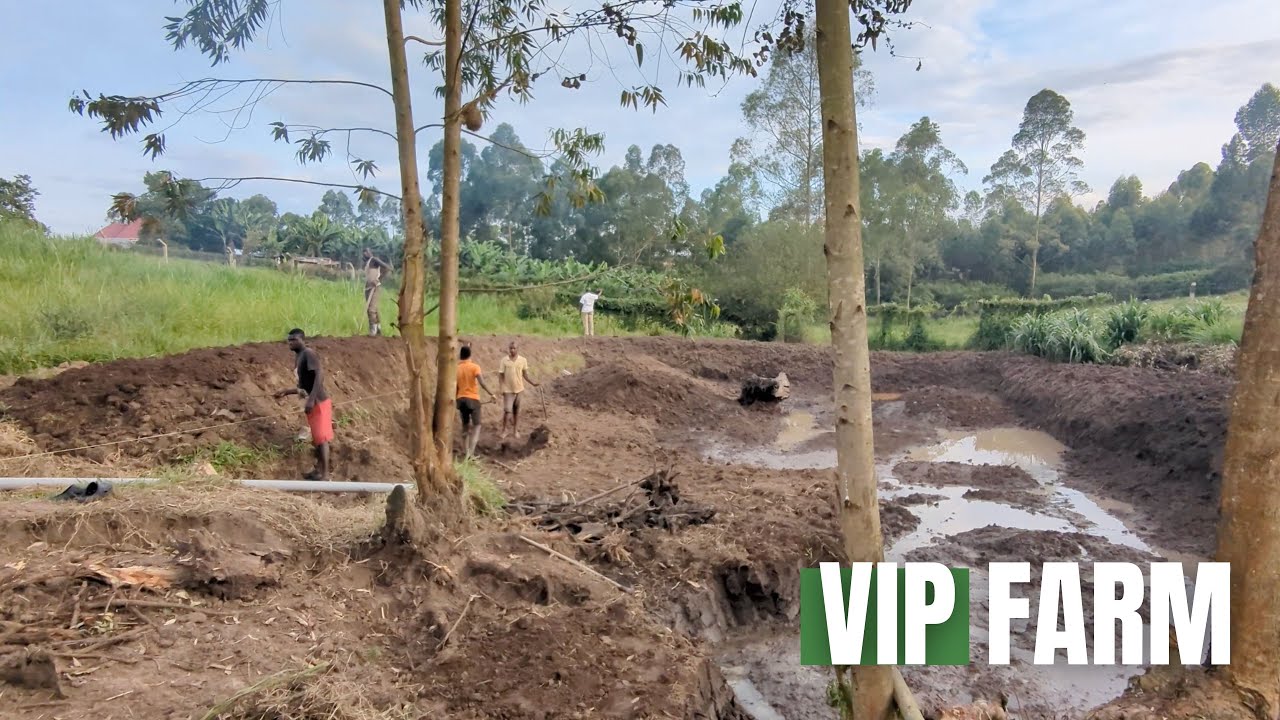 Visiting a VIP farm - YouTube
