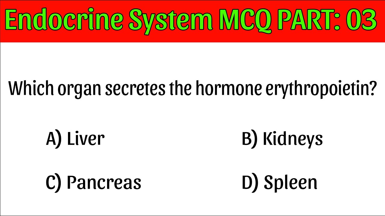 Endocrine System MCQ |PART: 03| |Endocrinology| |endocrine mcqs - YouTube