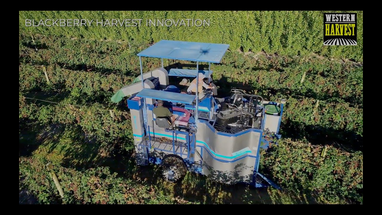 Harvest Management and Crop Development Update at Western Harvest ...