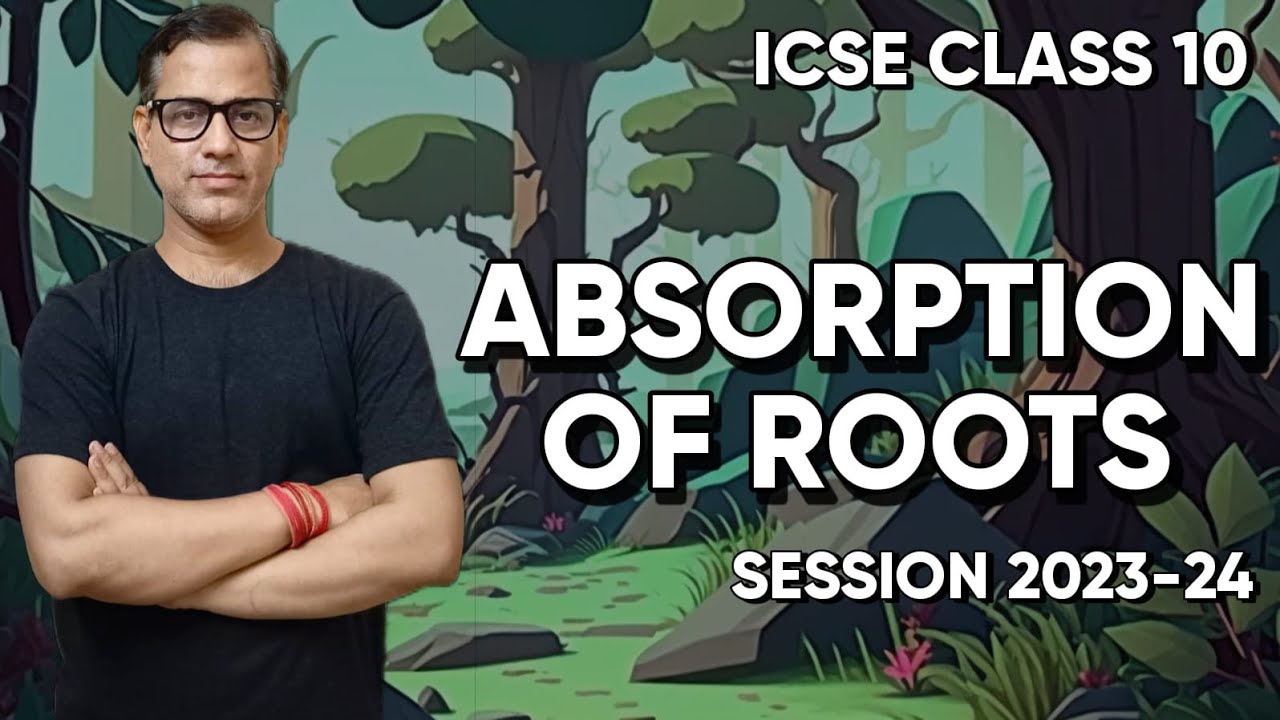 Absorption By Roots One Shot | Absorption By Roots ICSE Class 10 ...