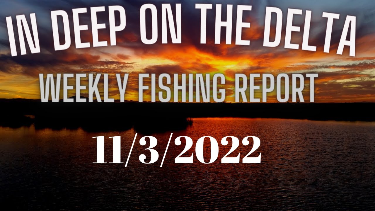 The In Deep on the Delta Weekly Delta Fishing Report for 11/3/2022 ...