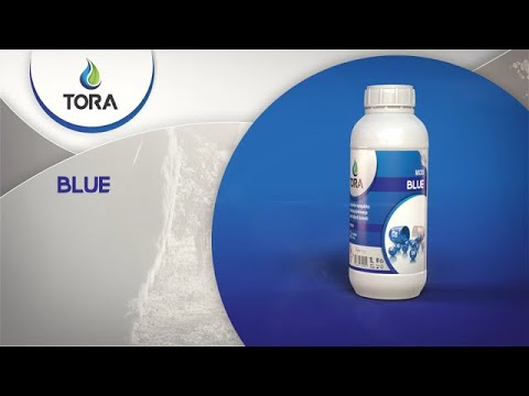 TORA BLUE 2023 - YouTube