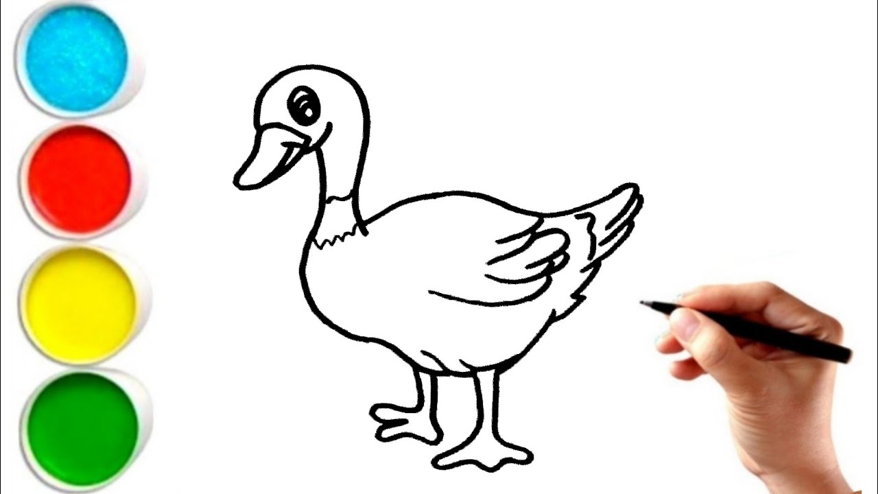 Quack Quack! Duck Drawing and Colouring for Kids | Easy Fun Tutorial ...