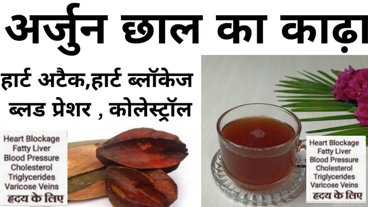 अर्जुन की छाल और दालचीनी काढ़ा पीने के फायदे और नुकसान Arjun ki chaal ...