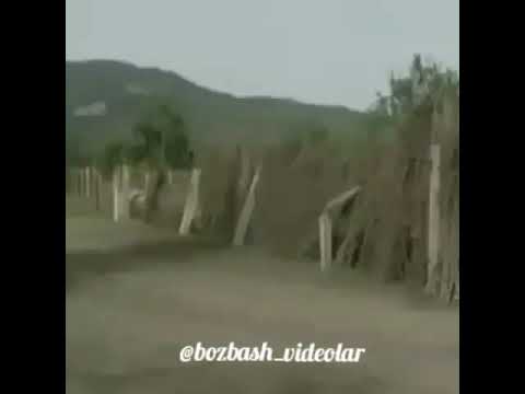 Mene birde zarilyom salam verenin.