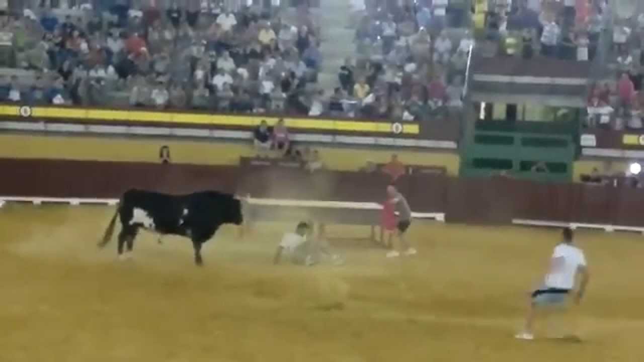 Toro Ratón | Espectacular cogida | España | HD - YouTube