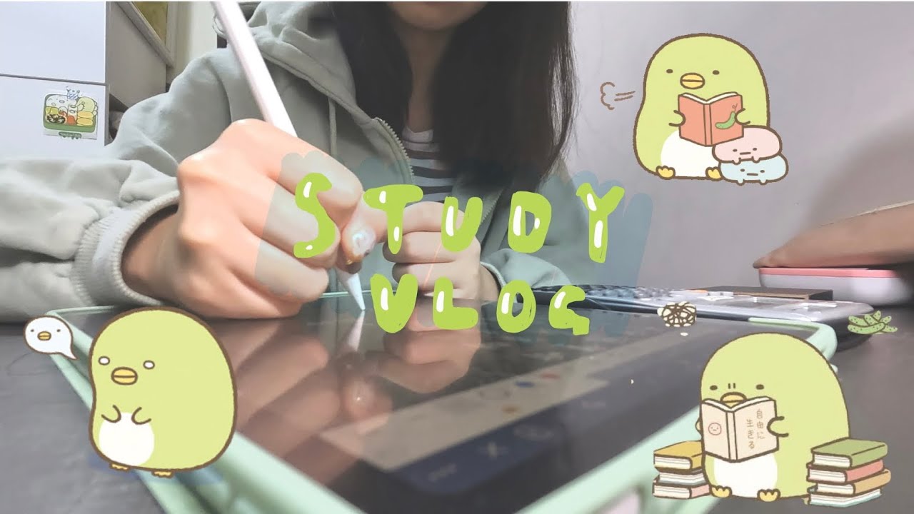 【2022DSE Study Leave Vlog】 DSE 溫習日常 - YouTube