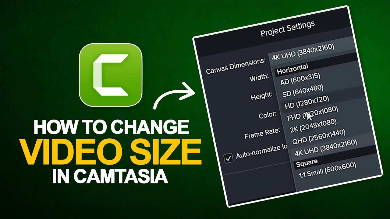 How to Change Video Size or Dimensions in Camtasia | Camtasia Tutorial Beginner - YouTube